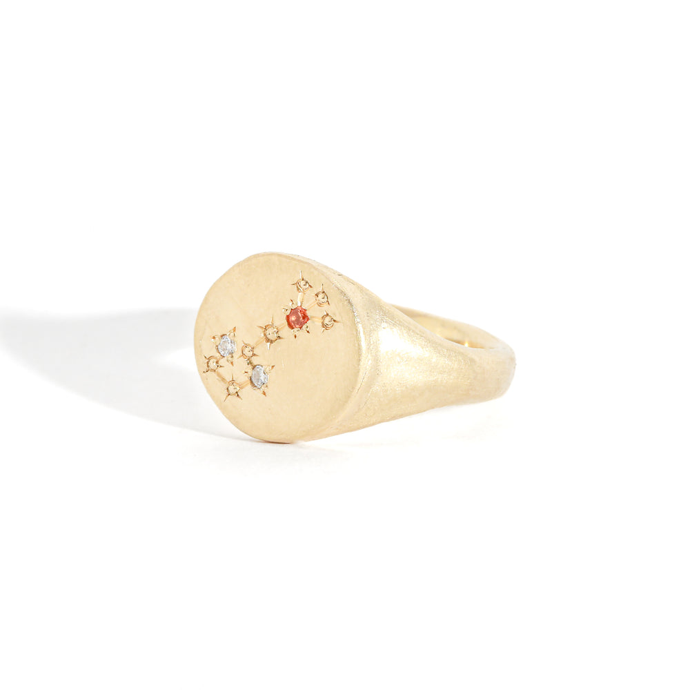 Scorpio Signet Ring | Gold Scorpio Ring | Scorpio Zodiac Ring with ...